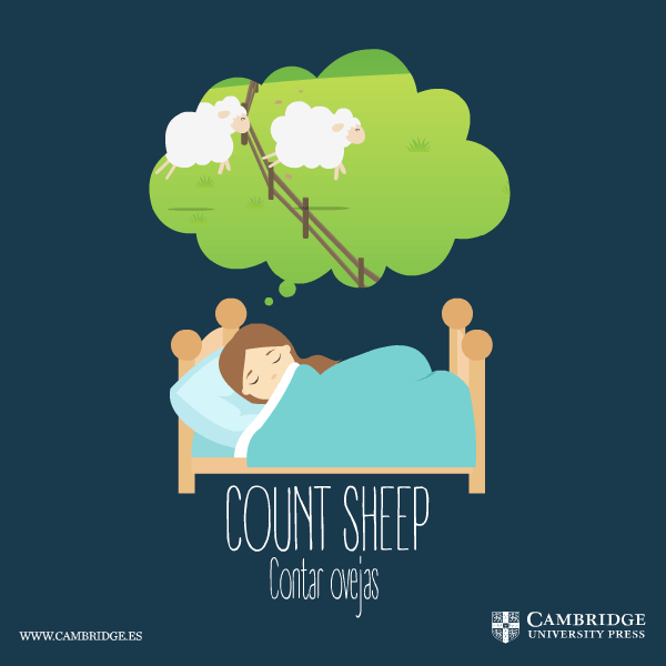 Count sheep - Blog Cambridge