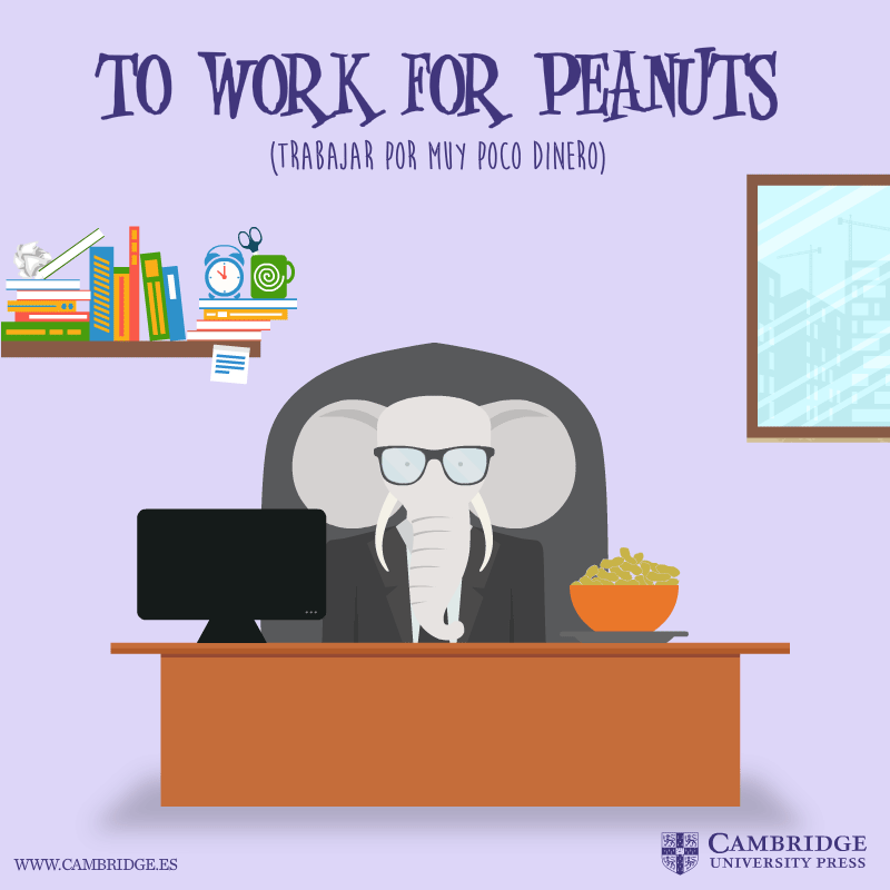 To work for peanuts - Blog Cambridge