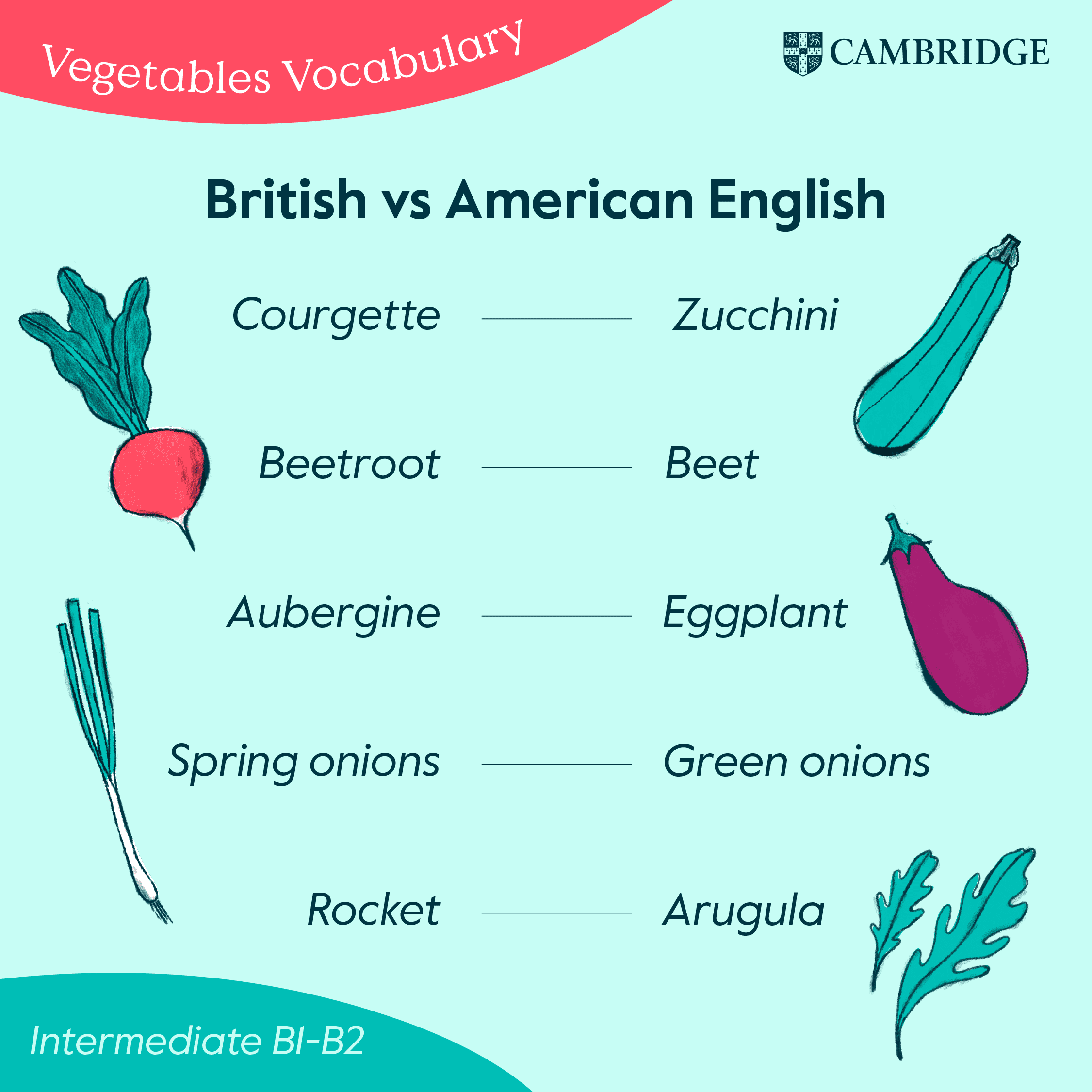British vs American English - Cambridge Blog