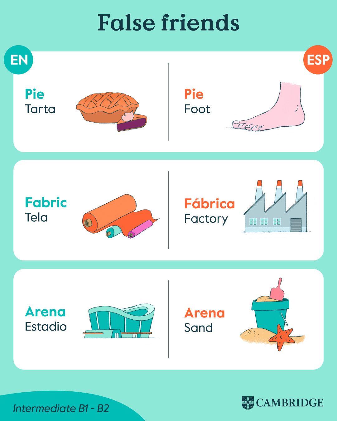 False friends - Cambridge Blog