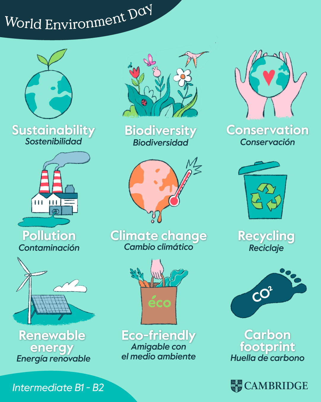 World Environment Day - Cambridge Blog